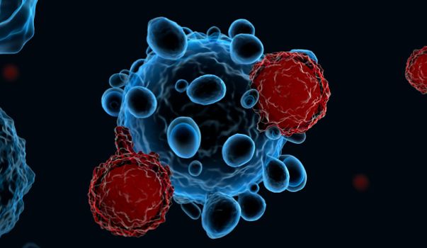 Imugene welcomes positive FDA feedback on improved manufacturing ...