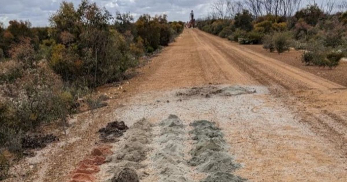 Moho Resources fields promising rare earth soil sampling and ...