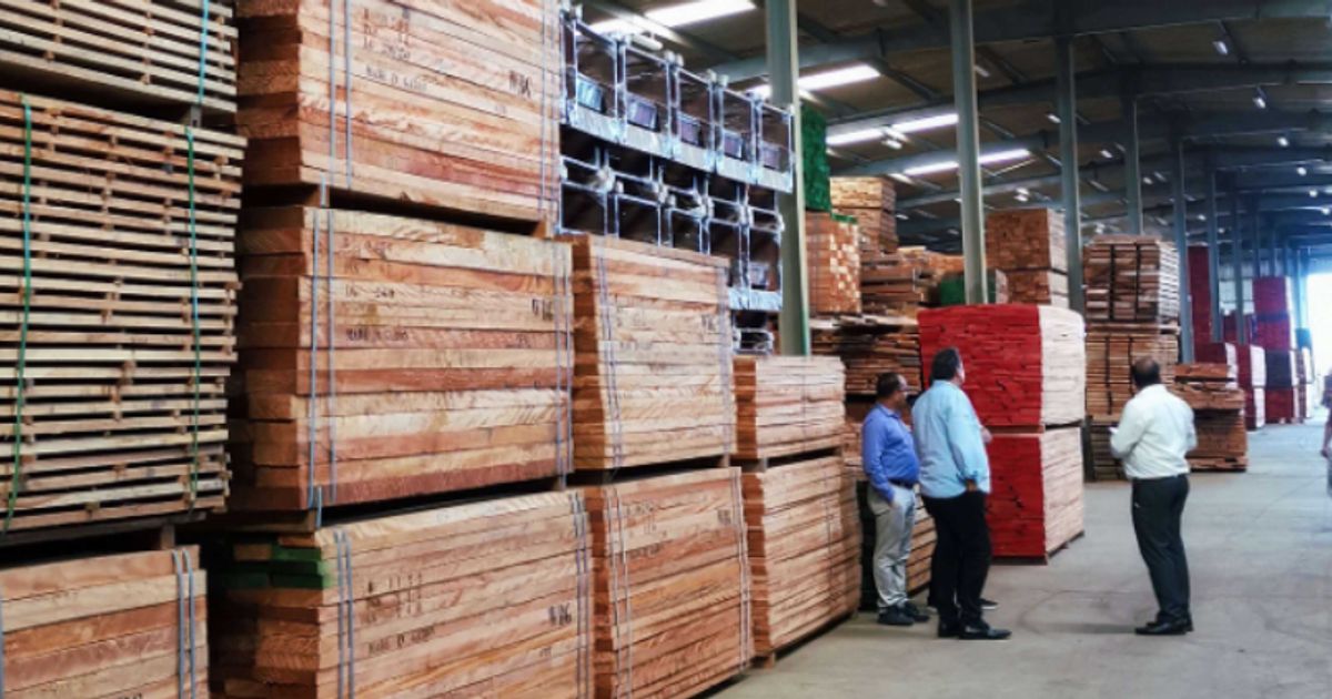 Woodbois optimistic of upturn after difficult first half, new CEO ...