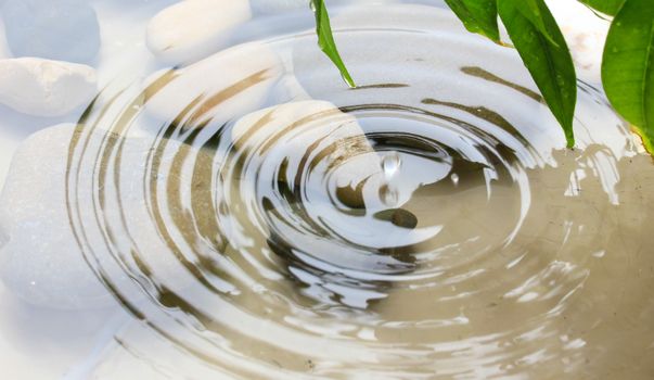 Clean TeQ Water acquisition supports expansion into global mine ...