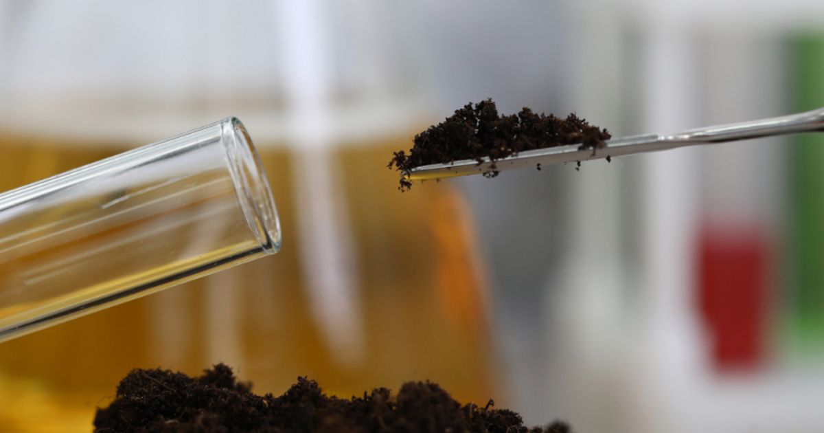 Lightning Minerals outlines lithium-rubidium anomaly from soil sampling ...