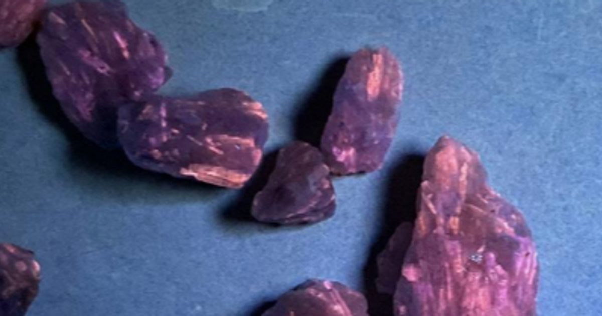 Alchemy Resources hits spodumene and lepidolite in completed Karonie RC ...