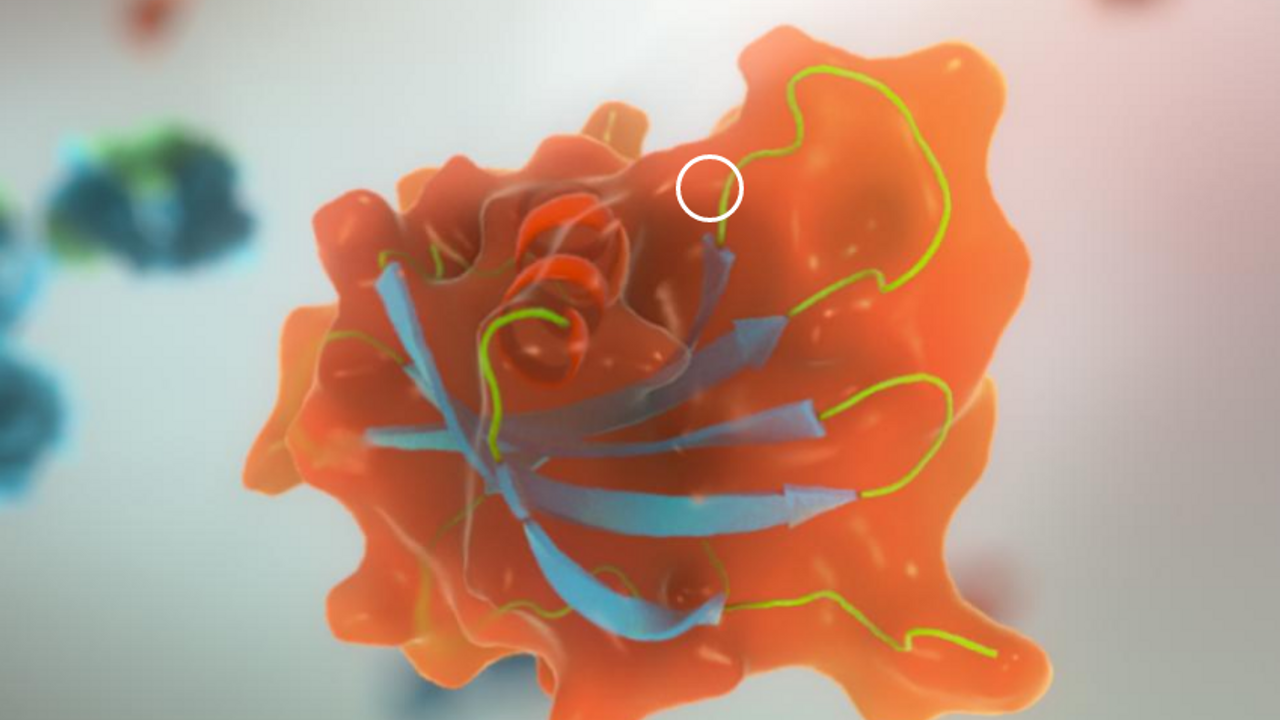 Avacta Group soars after positive phase 1 trial results | AIM:AVCT
