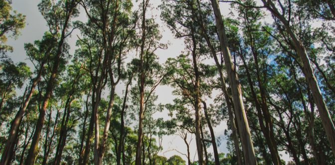 Ceres Power's hydrogen focus highlighted by Credit Suisse as EU green ...