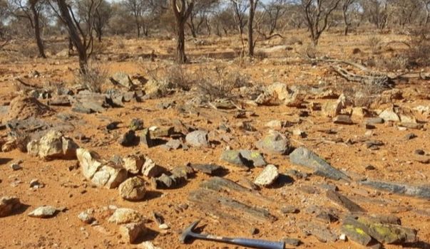 Tempest Minerals' 2022 regional drilling reveals critical metals at ...