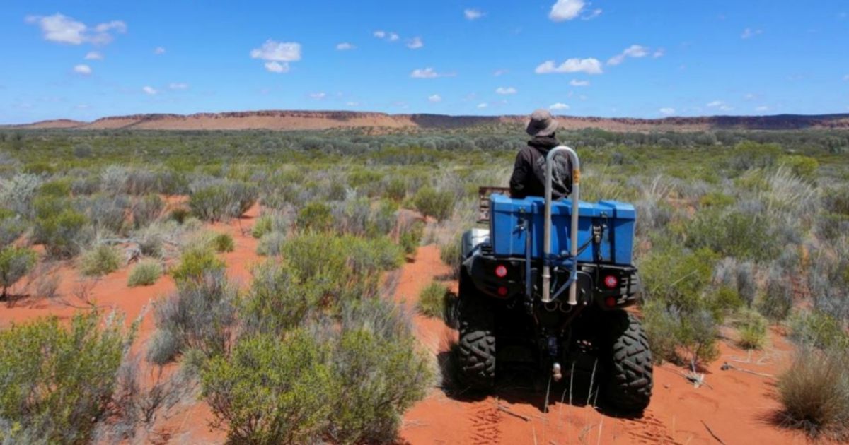 Caspin Resources identifies 2-kilometre-long gold anomaly at Mount ...