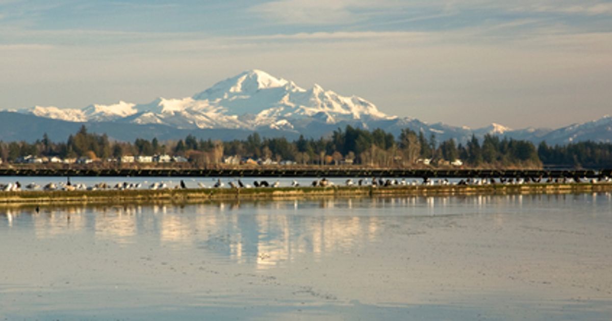 Harbor Custom Development provides update on 992 unit Grandis Pond ...