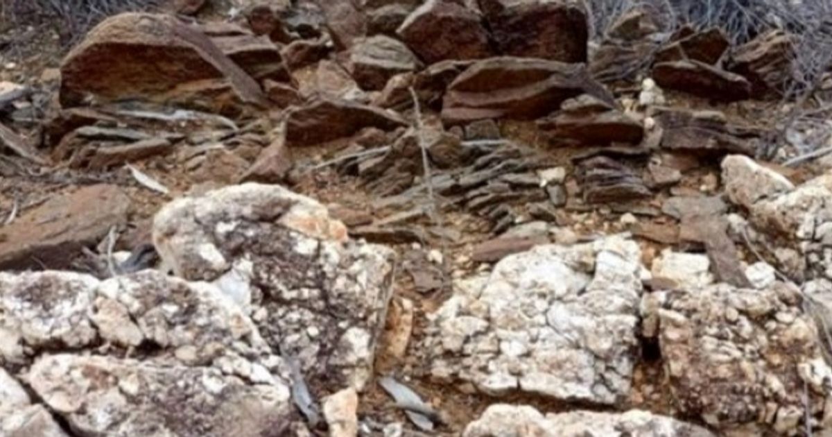 Lightning Minerals enhances lithium prospectivity of Dundas South with ...