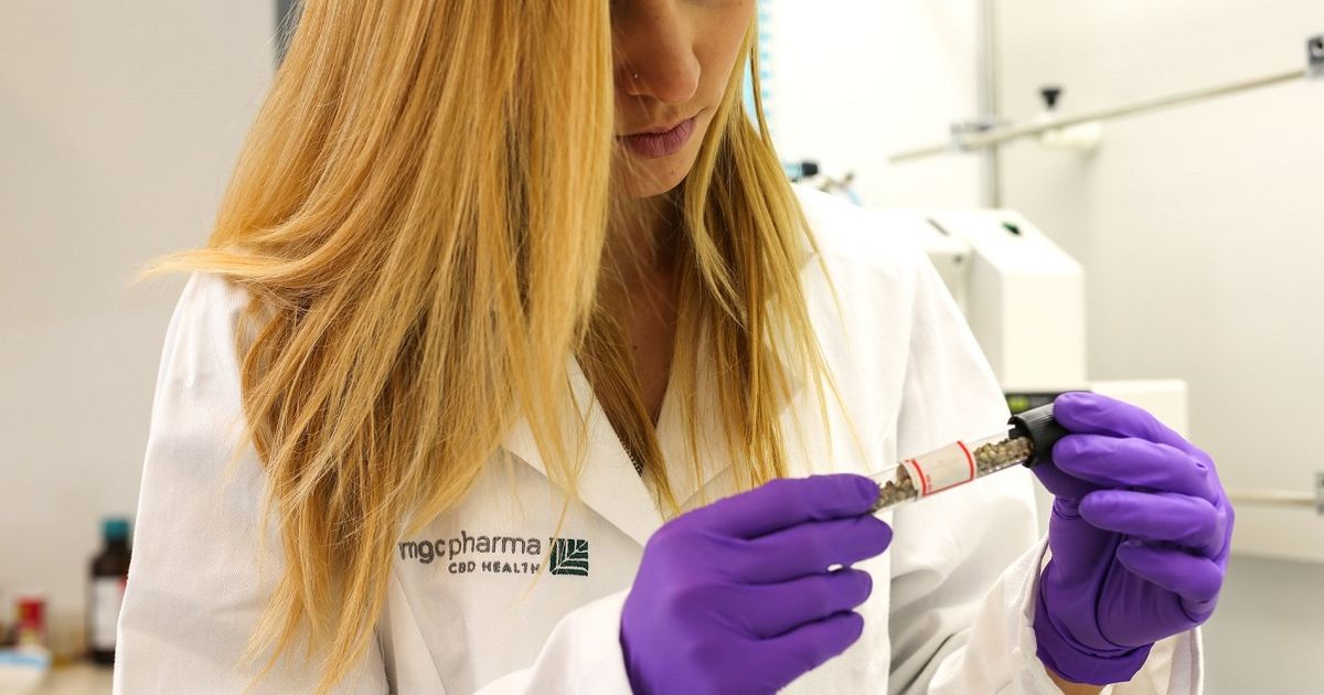 MGC Pharmaceuticals "totally understands" CimetrA after MoA study | LSE ...