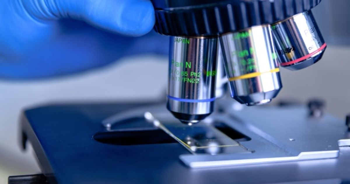 Ellipses Pharma has "quite a number" of promising cancer treatments in ...