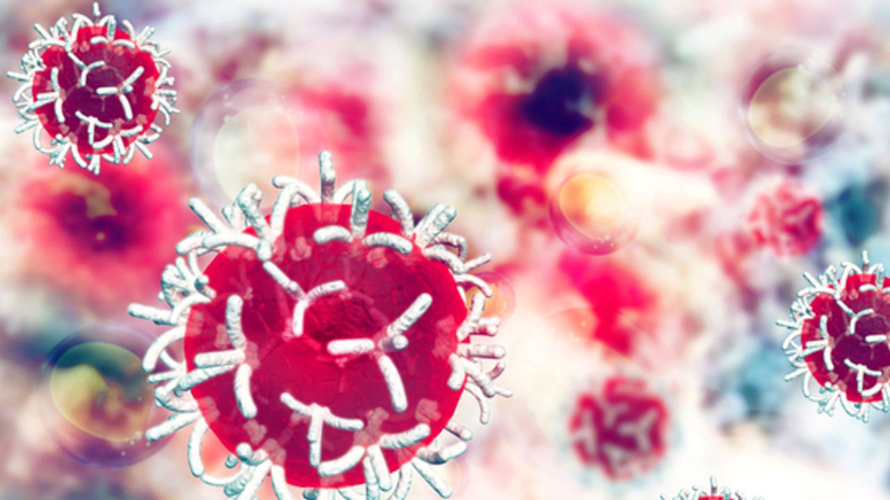 Pharmaxis' PXS-5505 doubles response rate to standard therapy in blood ...