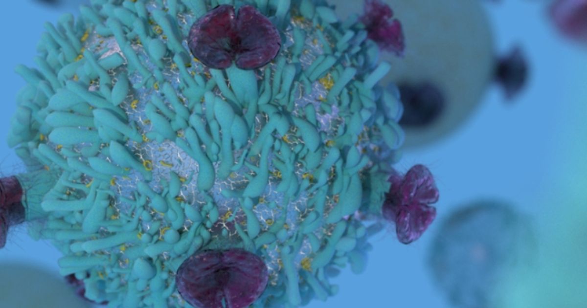 Merck blockbuster shows promise in bladder cancer | NYSE:MRK, XETRA:6MK