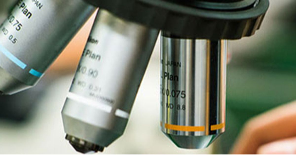 OD6 Metals delivers “very positive” REE metallurgical results from ...