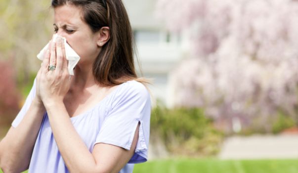 Allergy Therapeutics jumps 23% on success of grass allergy vaccine ...