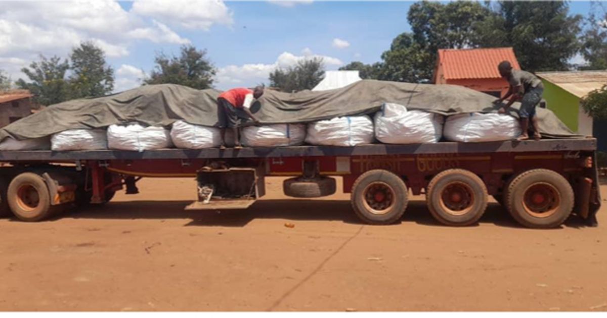 Volt Resources nears key deal to boost Bunyu Graphite Project amid ...