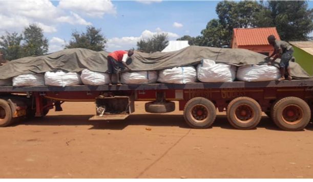 Volt Resources nears key deal to boost Bunyu Graphite Project amid ...