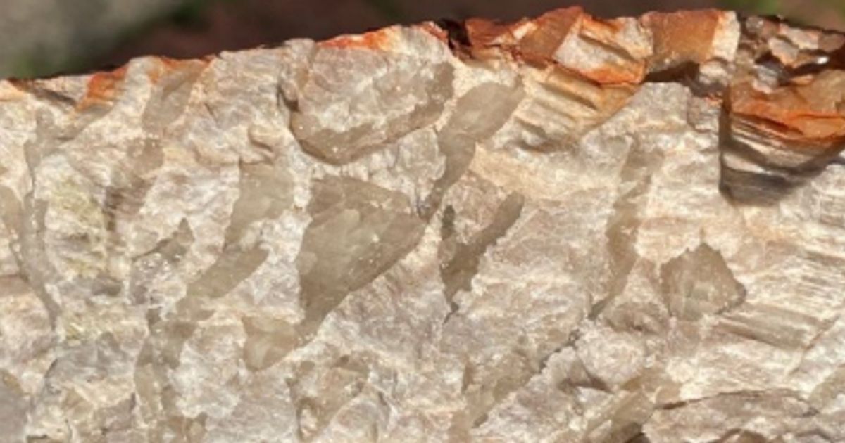 Flynn Gold identifies seven priority lithium anomalies at Mt Dove | ASX:FG1