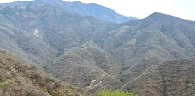 Titan Minerals confirms “substantial” new gold vein system at Dynasty ...