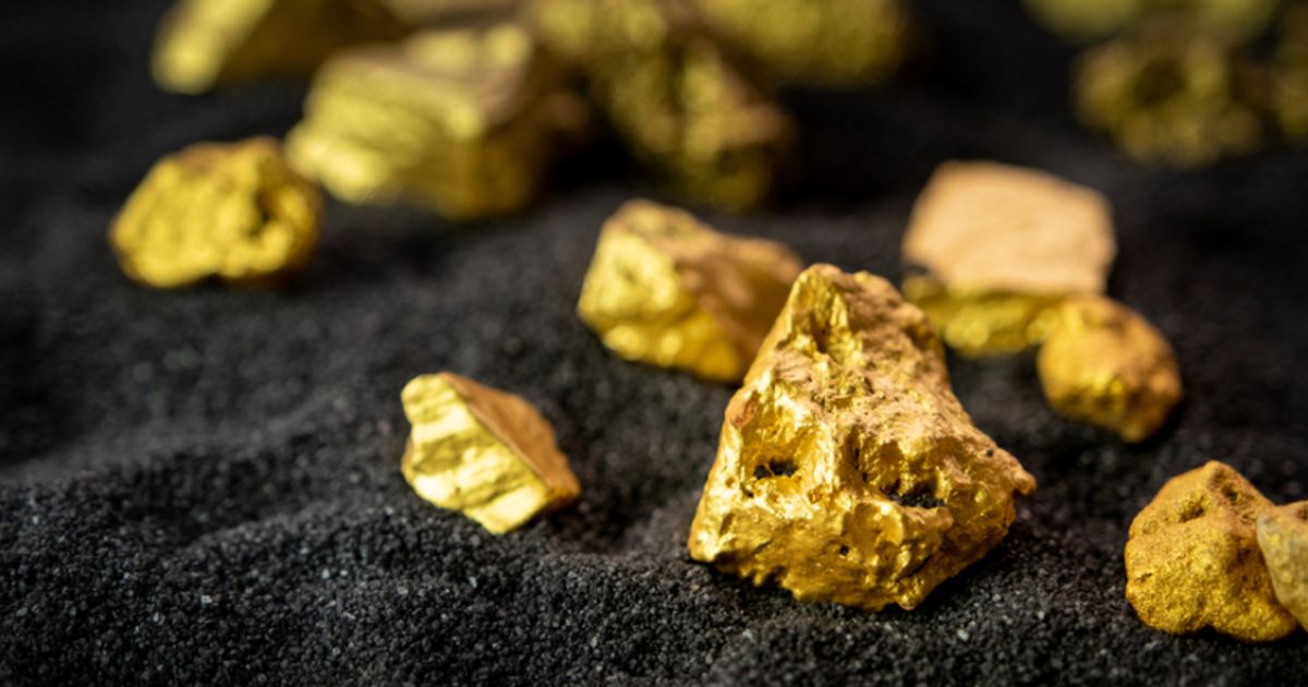 Gander Gold unearths significant gold system at Lizard Pond | CSE:GAND