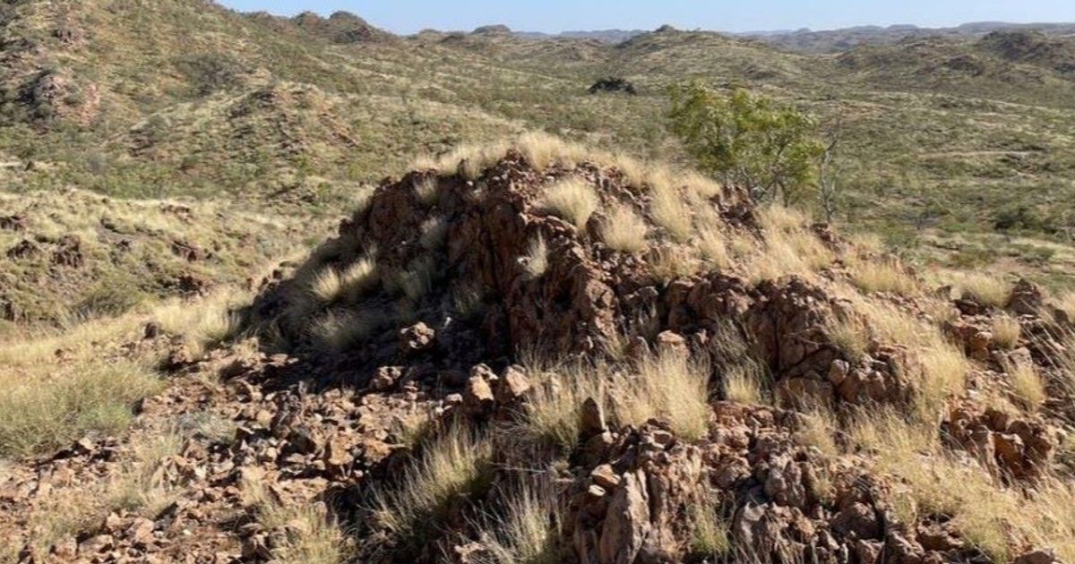 Cooper Metals confirms significant copper discovery | ASX:CPM
