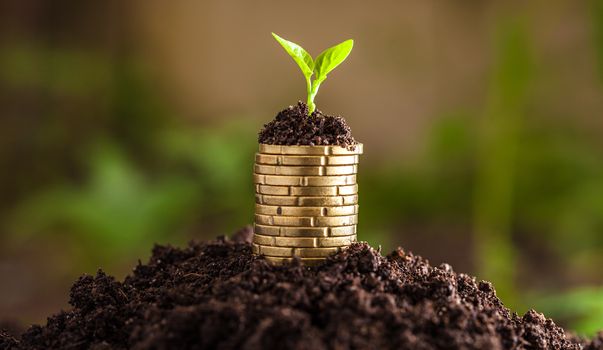 Videndum raises £125m at 3% discount: Green shoot or false dawn? | LSE:VID