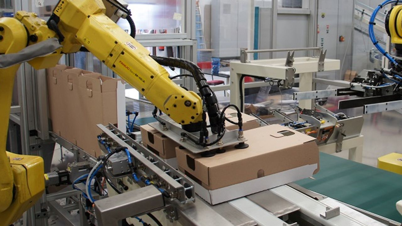 Pricing weakness in focus for DS Smith’s interim earnings call | LSE:SMDS