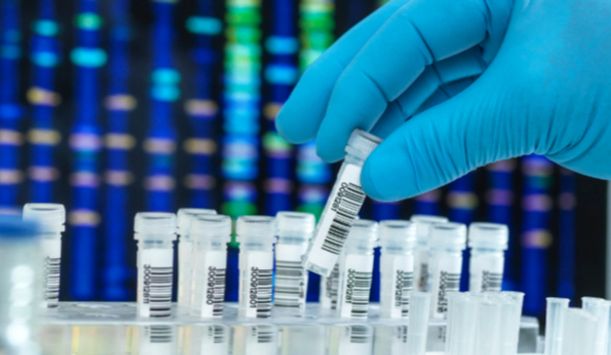 C4X Discovery confident about future after evolutionary year