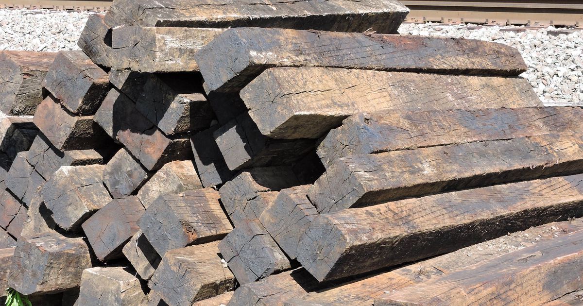 Revolutionizing Wood Waste-to-Fuel: Exclusive Insights with Cielo Waste ...