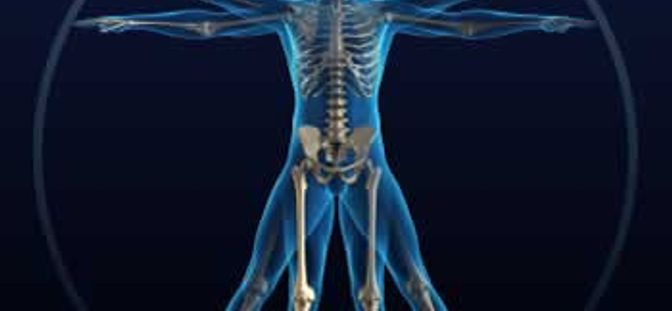 Kensey Nash Corp cuts full year revenue guidance as medical devices ...