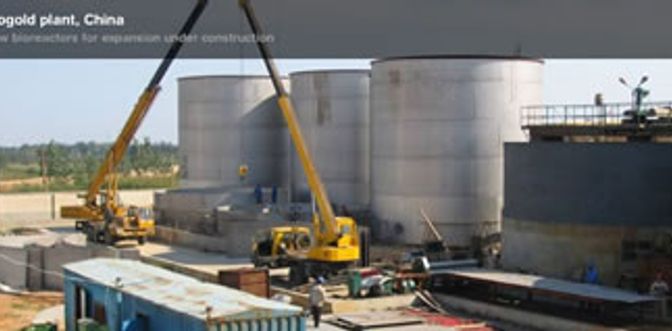 BacTech Mining set to split in two to tackle refractory gold and ...