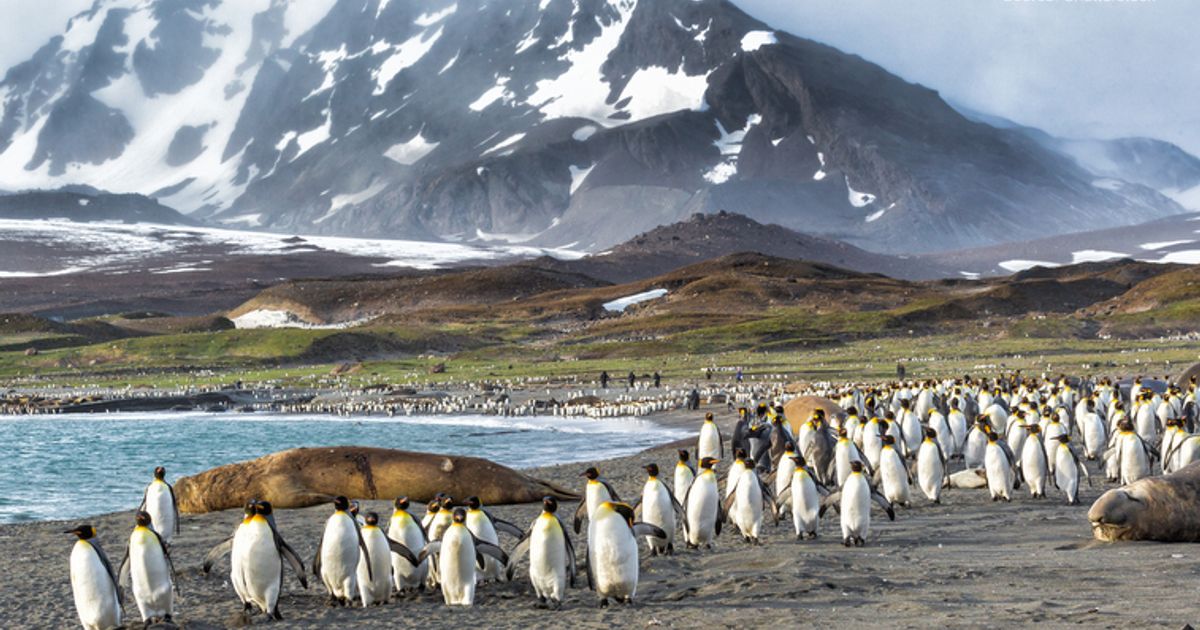 Egypt deal boosts production at Rockhopper Exploration | AIM:RKH