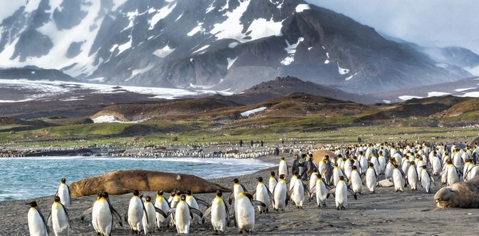 Egypt deal boosts production at Rockhopper Exploration plc