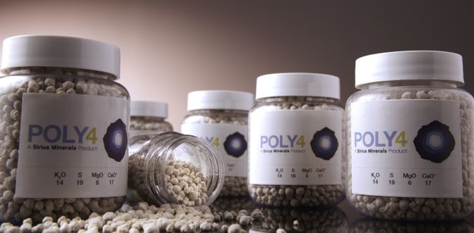 Sirius Minerals Plc tipped as ‘buy’ ahead of institutional investor ...