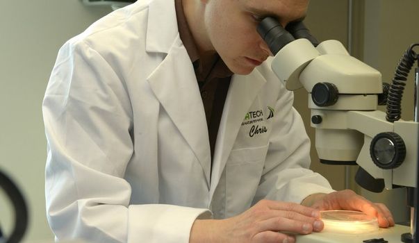 ReNeuron making good progress with all of its key therapeutic ...