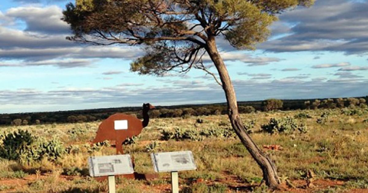 Kin Mining’s drilling finds sufficient water for Leonora Gold Project ...