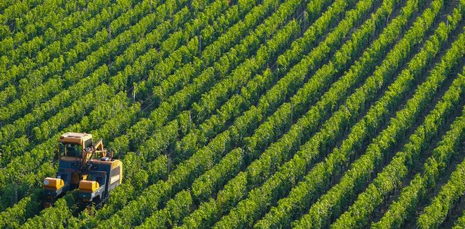 Verde Agritech reaches next milestone in Brazil with processing plant ...