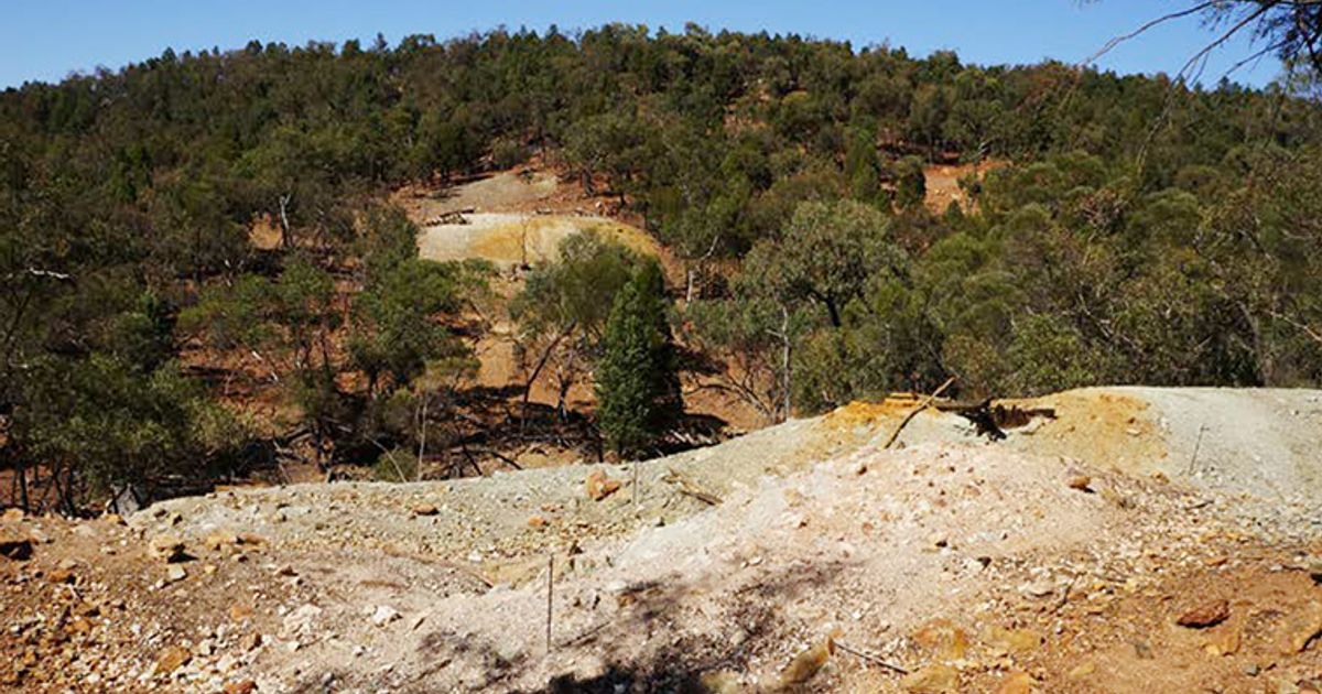 Peel Mining leveraged to partner’s review which identifies copper-gold ...