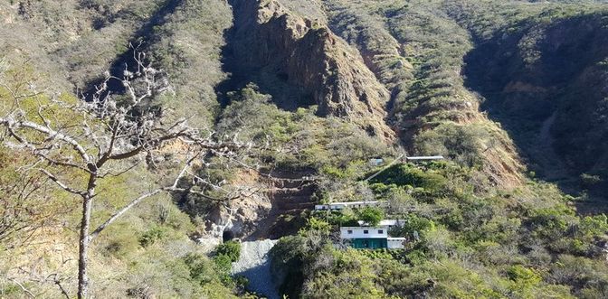 Telson Mining Corp says Tahuehueto mine assays confirm project's potential