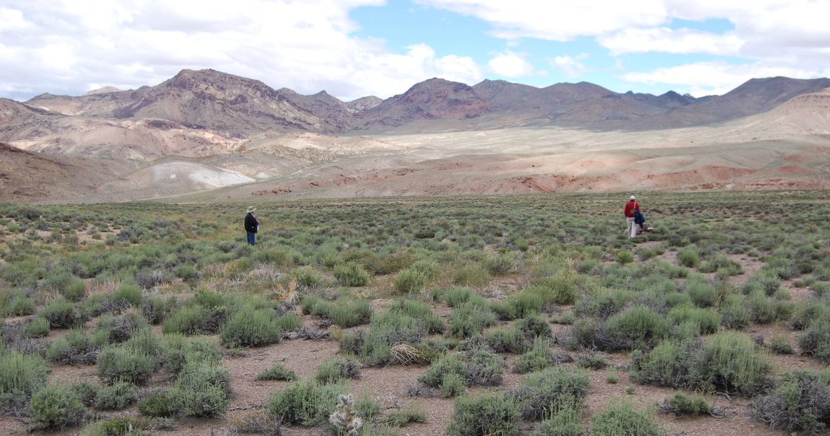 ioneer’s drill results reveal further high-grade lithium and boron at ...